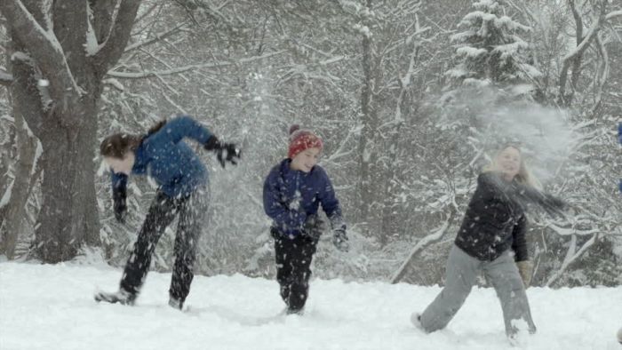 Un niño cancela centenaria ley de Colorado que prohibía | BajaPress